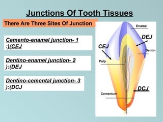 1 introduction | PPT