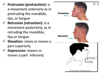 introduction to human anatomy | PPTX