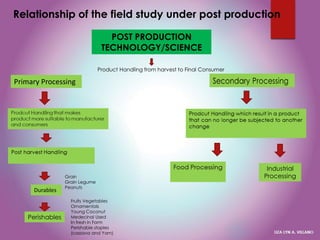 1 introduction.pdf