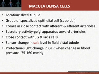 1) INTRODUCTION - Copy.ppt
