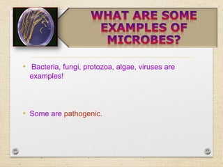 1 Introduction Microbiology.pdf
