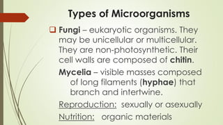 Introduction to Microbiology (An Overview and History) | PDF