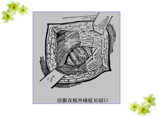 1 introduction of regional anatomy | PPT