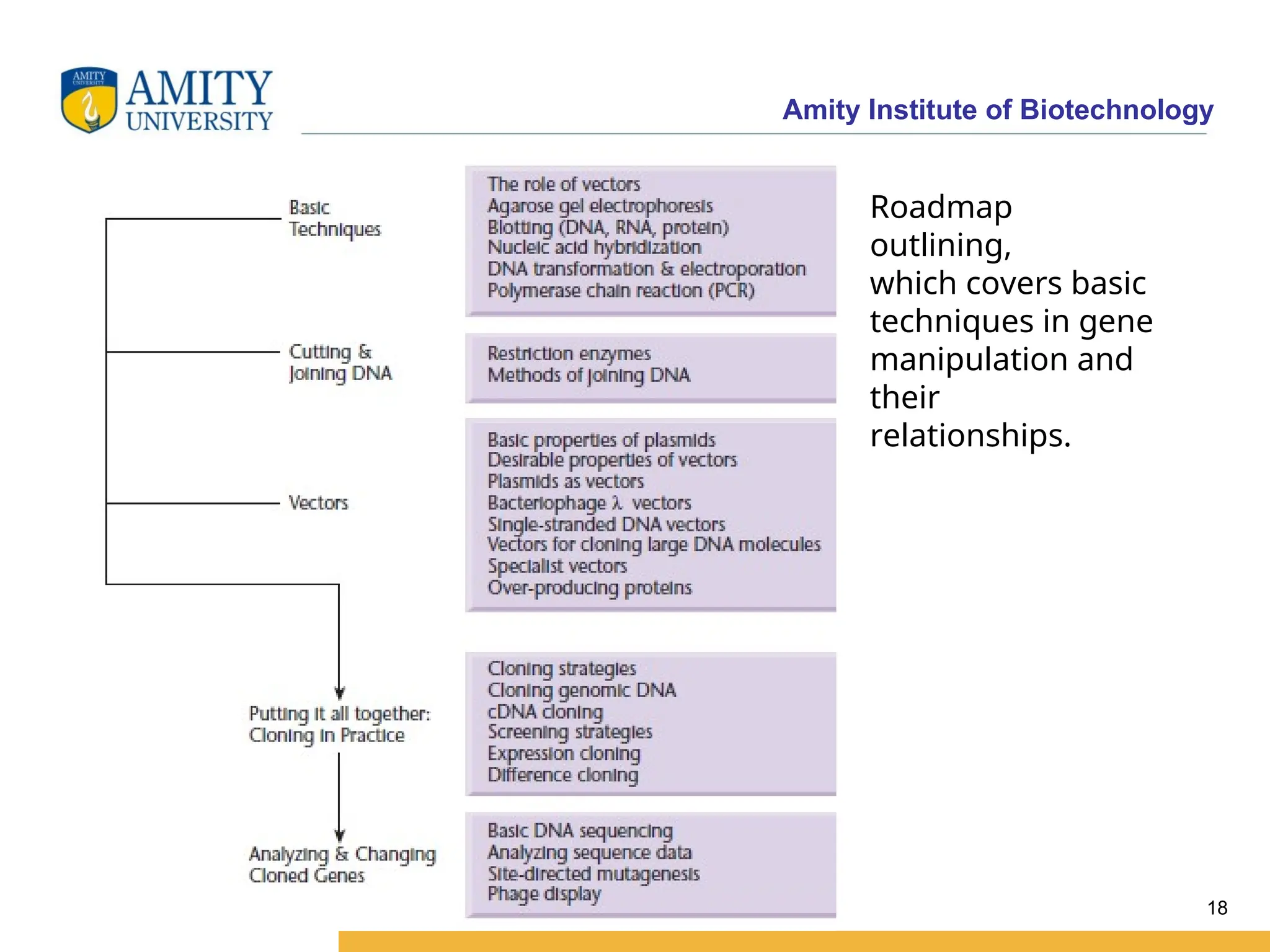 1_Introduction_RDT.ppt pcr and its application | PPT