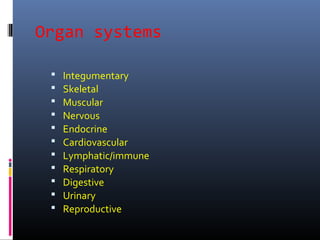 1 introduction to anatomy | PPT