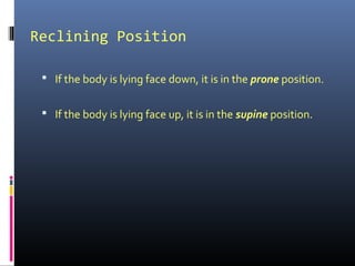 1 introduction to anatomy | PPT