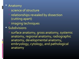 1 introduction to anatomy | PPT