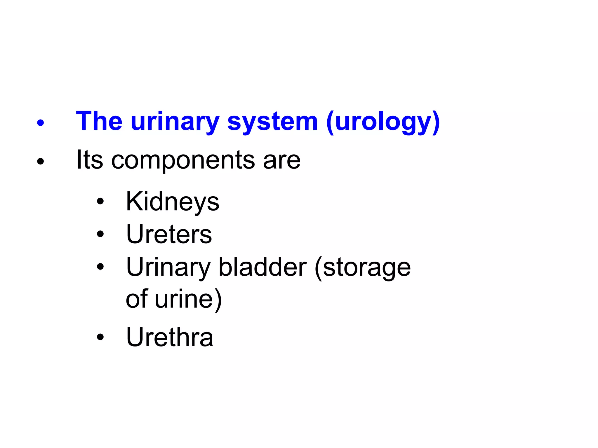 Introduction to Anatomy, Branches of Anatomy, Origin of Anatomy, BD Churasia By Shahid Alam | PPTX