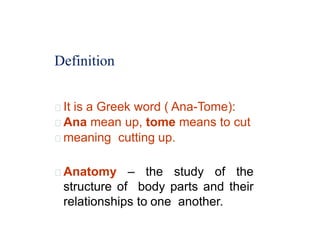 Introduction to Anatomy, Branches of Anatomy, Origin of Anatomy, BD ...