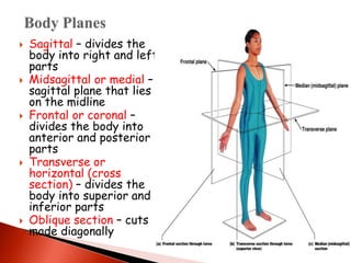 1 Introduction to anatomy.ppt.pptx