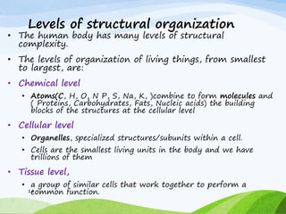 1 Introduction to Anatomy.pdf
