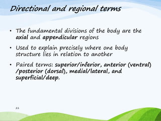 1 Introduction to Anatomy.pdf