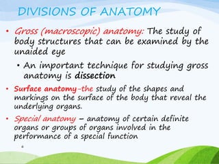 1 Introduction to Anatomy.pdf