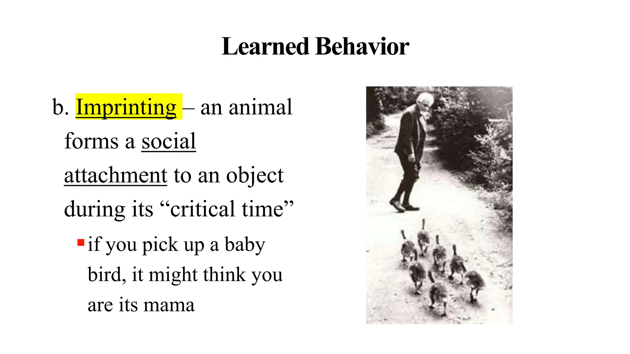 1 Introduction to Animal Behavior and Its Types.pptx