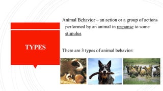 1 Introduction to Animal Behavior and Its Types.pptx