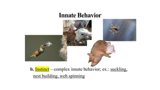 1 Introduction to Animal Behavior and Its Types.pptx