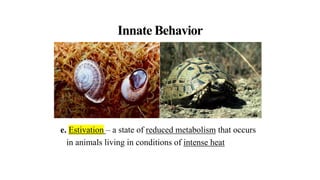1 Introduction to Animal Behavior and Its Types.pptx