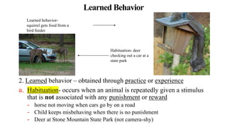 1 Introduction to Animal Behavior and Its Types.pptx