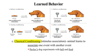 1 Introduction to Animal Behavior and Its Types.pptx