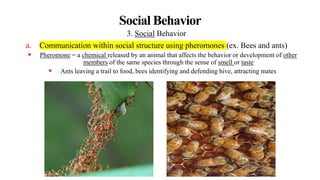 1 Introduction to Animal Behavior and Its Types.pptx