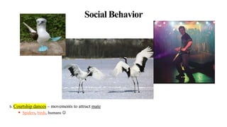 1 Introduction to Animal Behavior and Its Types.pptx