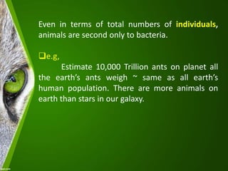 Introduction to Animals | PPTX