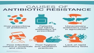 Introduction to antimicrobial drugs.ppt