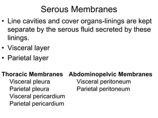 1Introduction to anatomy and physiology 1 | PPT