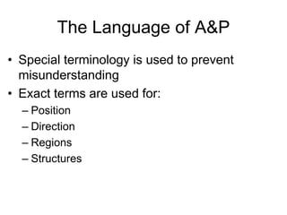 1Introduction to anatomy and physiology 1 | PPT