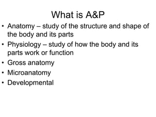 1Introduction to anatomy and physiology 1 | PPT