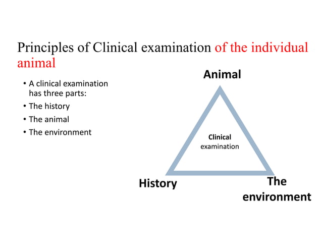 1 introduction to applied veterinary medicine | PPT