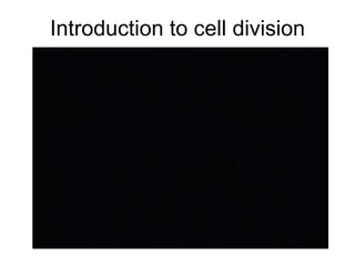 Chapter 18 Cell Division Lesson 1 - Introduction to Cell Division | PPT ...
