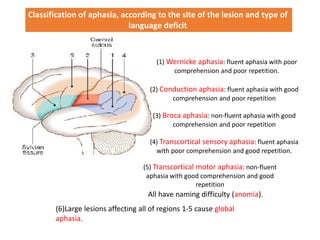 1)introduction to clinical neurology.pptx