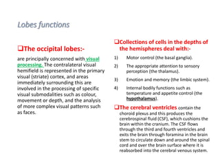 1)introduction to clinical neurology.pptx
