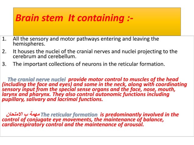 1)introduction to clinical neurology.pptx