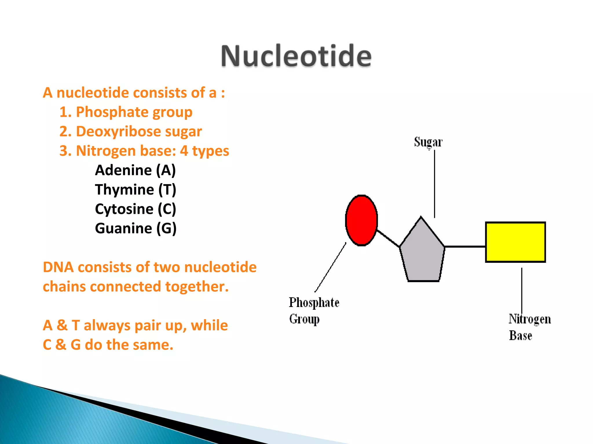 Introduction to cytology | PPT