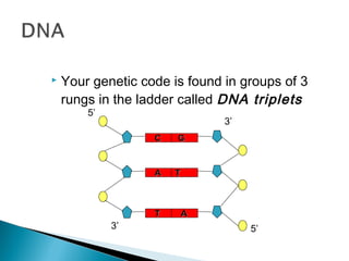 Introduction to cytology | PPT