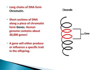 Introduction to cytology | PPT