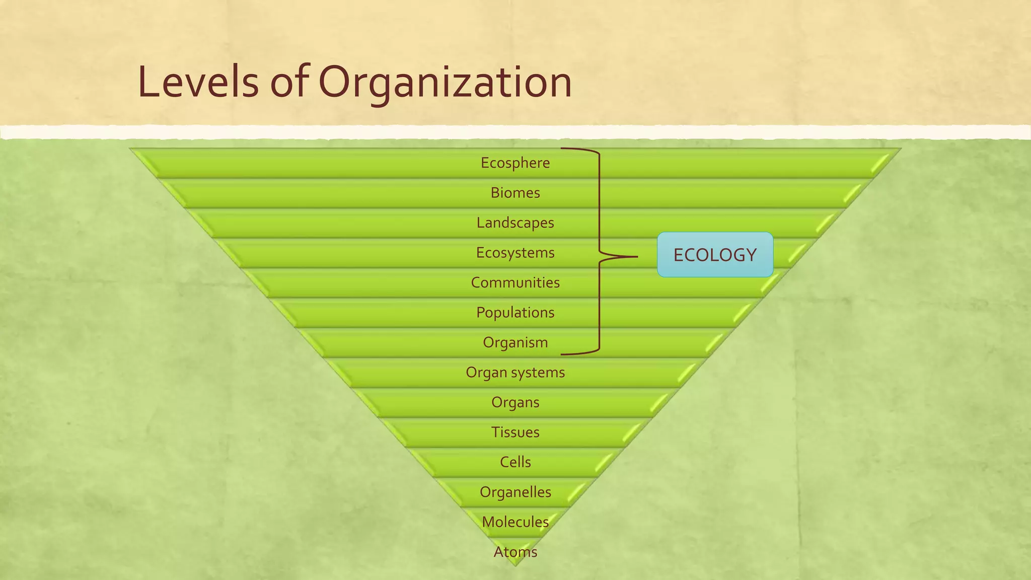 Introduction to Ecology | PPTX