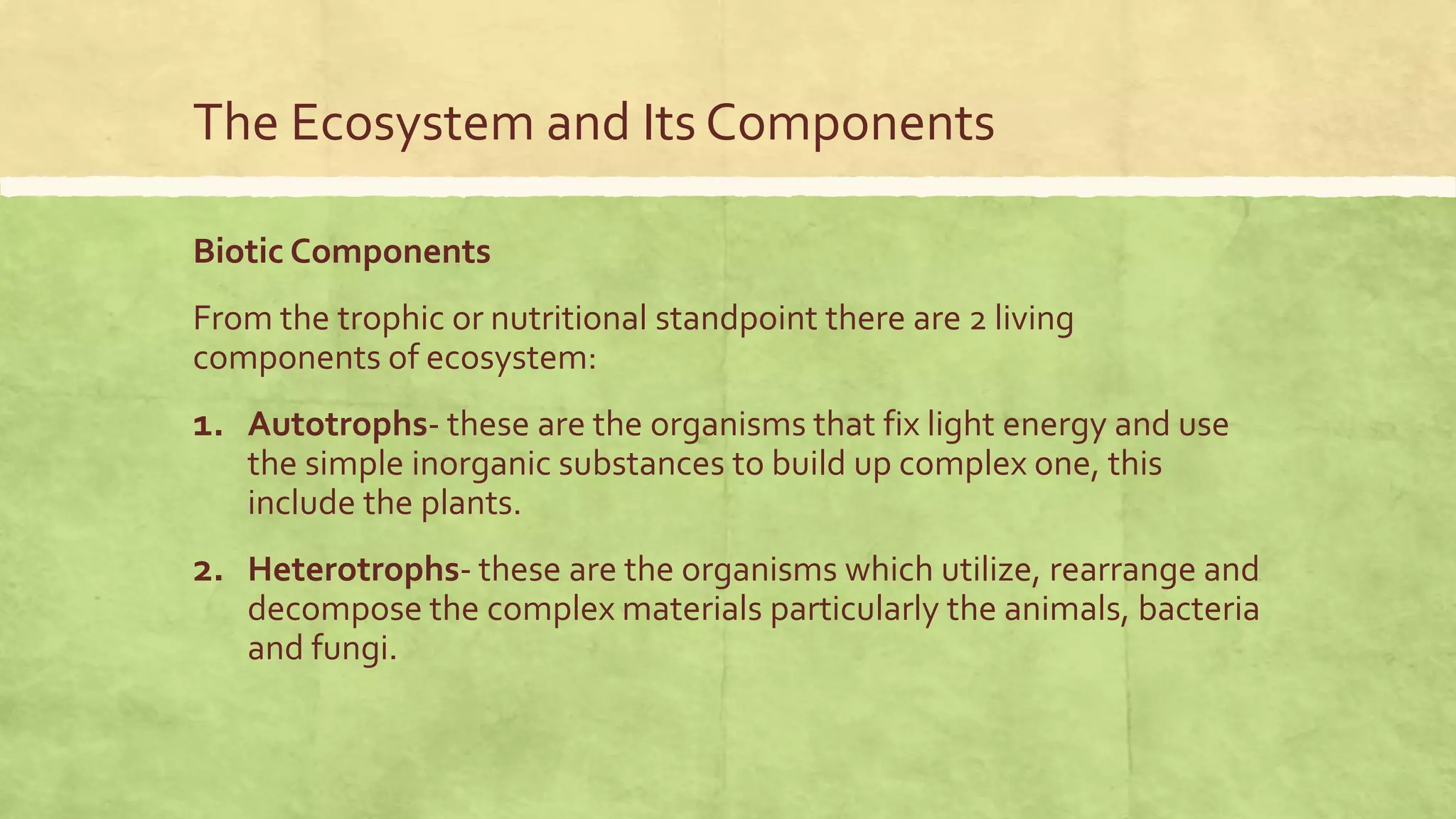 Introduction to Ecology | PPTX