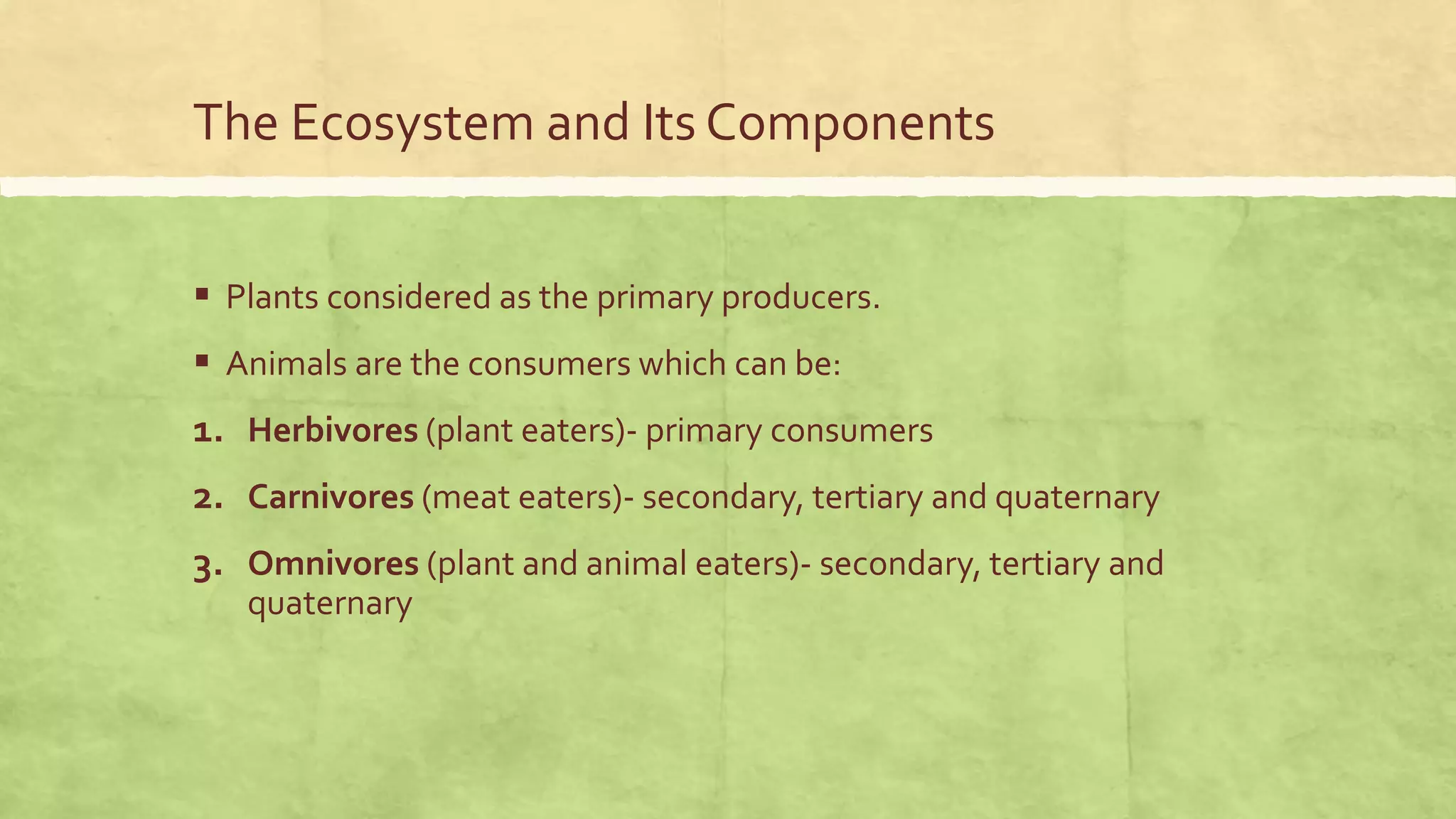 Introduction to Ecology | PPTX