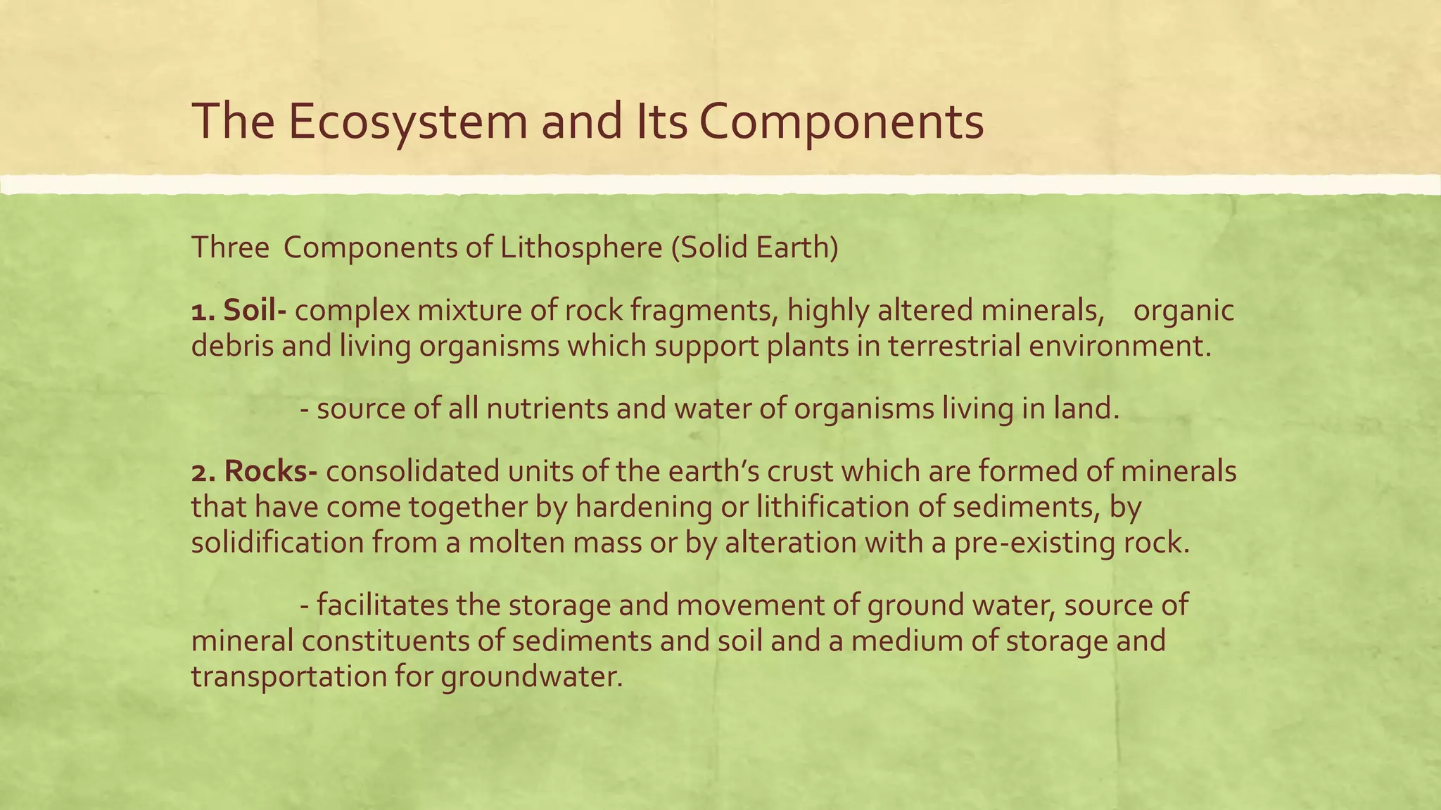 Introduction to Ecology | PPTX