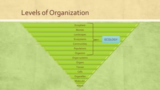 Introduction to Ecology | PPTX