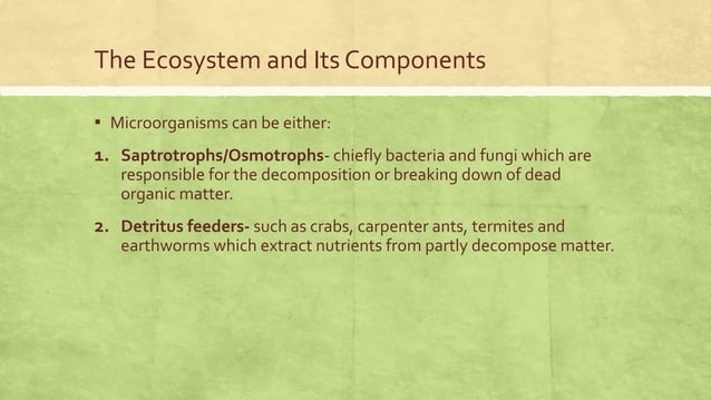 Introduction to Ecology | PPTX