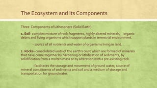 Introduction to Ecology | PPTX