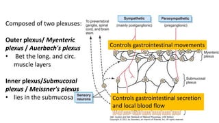 1 introduction to gastrointestinal physiology | PPTX