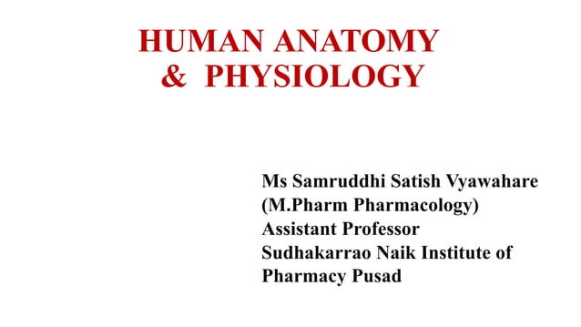 1 Introduction to human anatomy & physiology | PPT