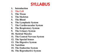 1 Introduction to human anatomy & physiology | PPTX