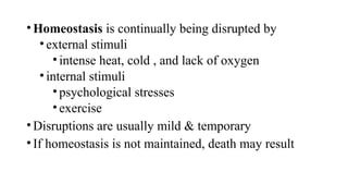 1 Introduction to human anatomy & physiology | PPTX