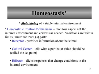 1 Introduction to Human Anatomy & Physiology.ppt
